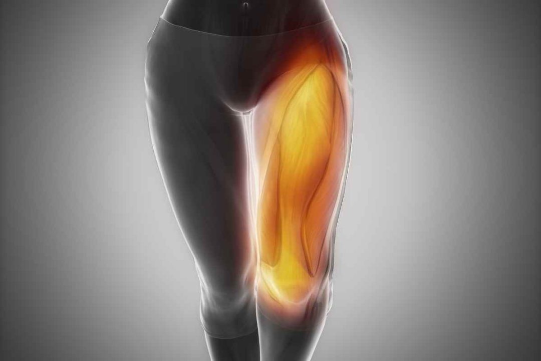 Quels muscles fait travailler le rameur ? La liste des 12 muscles ...